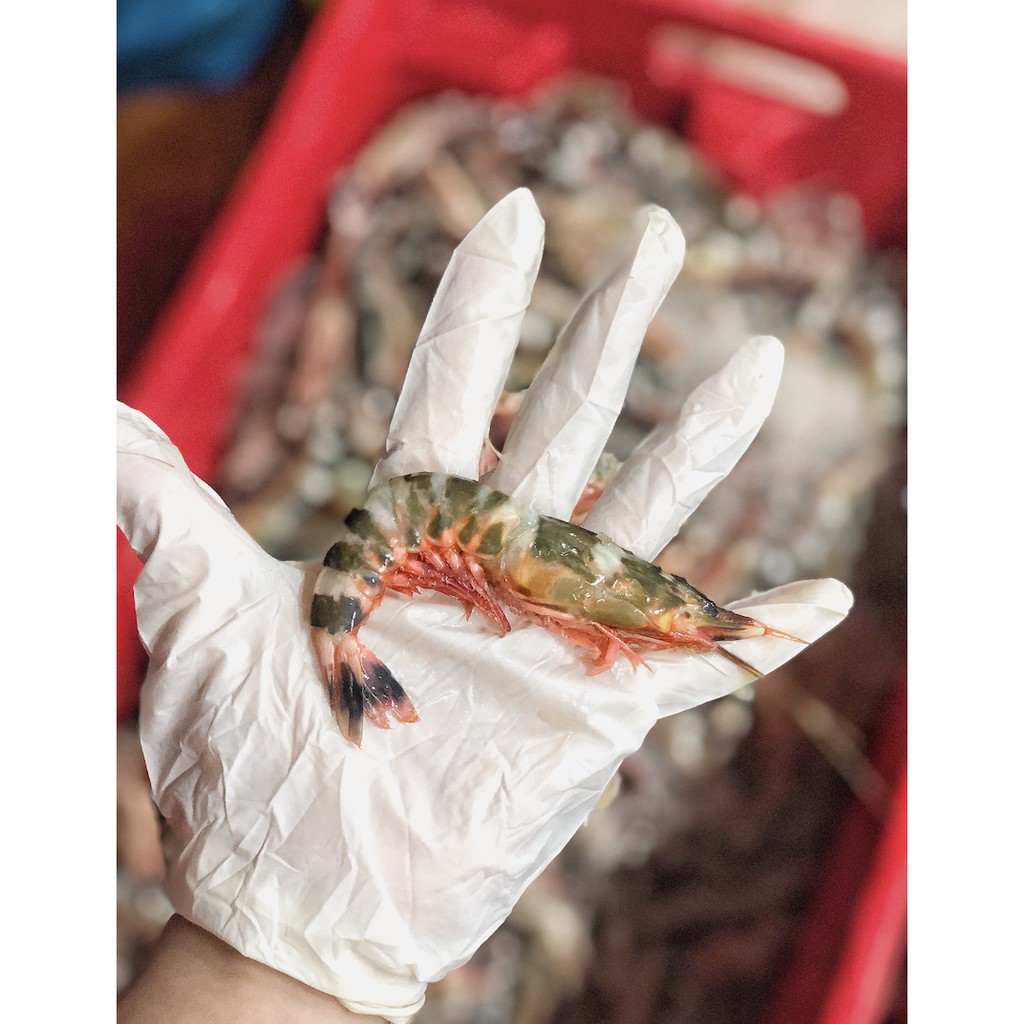 [Sea Fresh] Udang Pelagi | Rainbow Prawn | Fresh Frozen Seafood ...