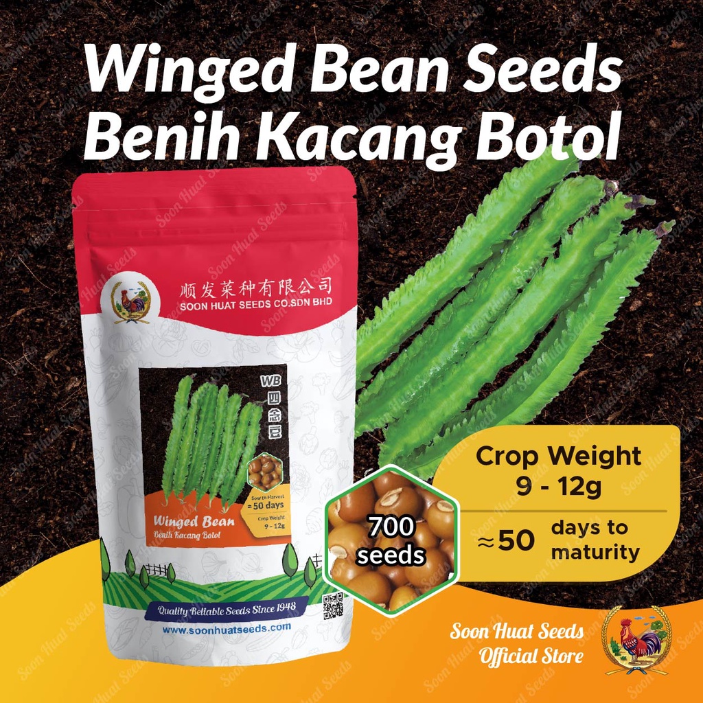 [200g] WB Benih Kacang Botol Winged Bean Soon Huat Seeds | Shopee Malaysia