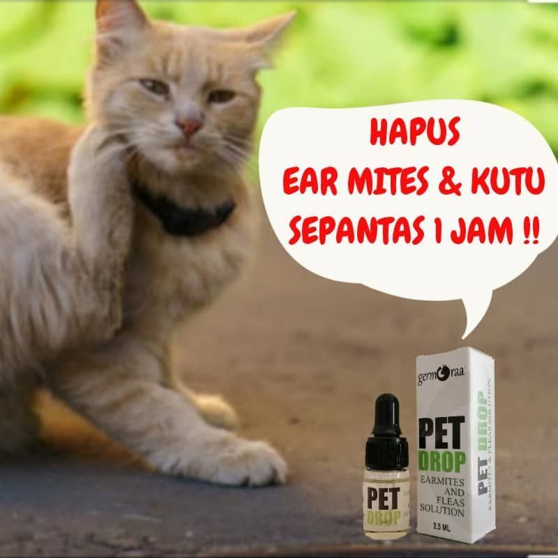 UBAT KUTU KUCING CAT EARMITE ANTI FLEA HAMA KUTU KUCING TELINGA GATAL ...