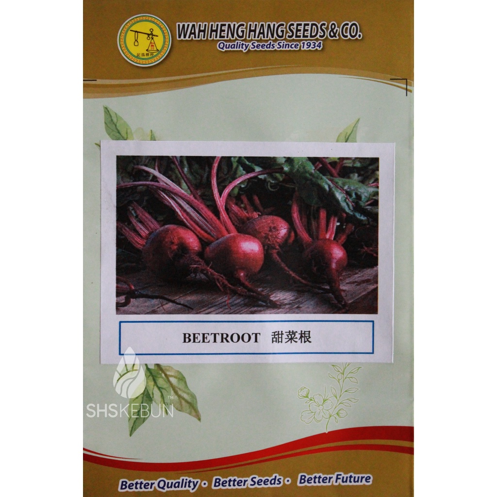 Benih Ubi Bit Merah 红菜頭 Beetroot Seed Non-GMO SHS Kebun | Shopee Malaysia