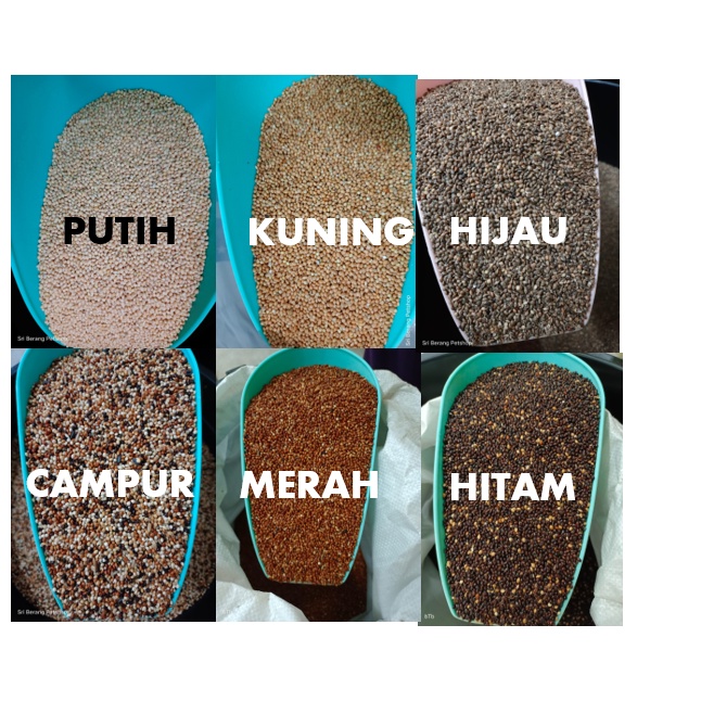 SEKOI PUTIH/KUNING/HITAM/HIJAU/MERAH/CAMPUR | Shopee Malaysia