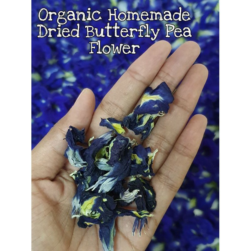 Organic Dried Butterfly Pea Flower without calyx/ Bunga Telang Kering ...