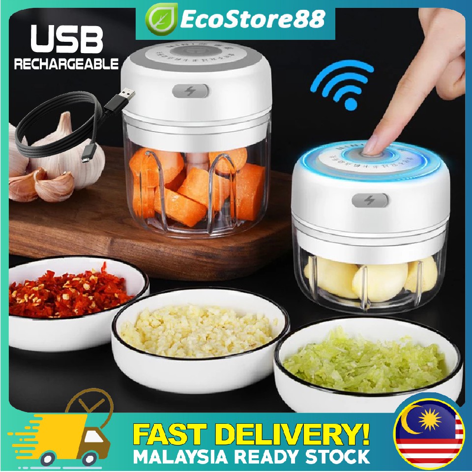 100/250ML Mini Blender Garlic Chopper Electric Food Chopper Portable ...