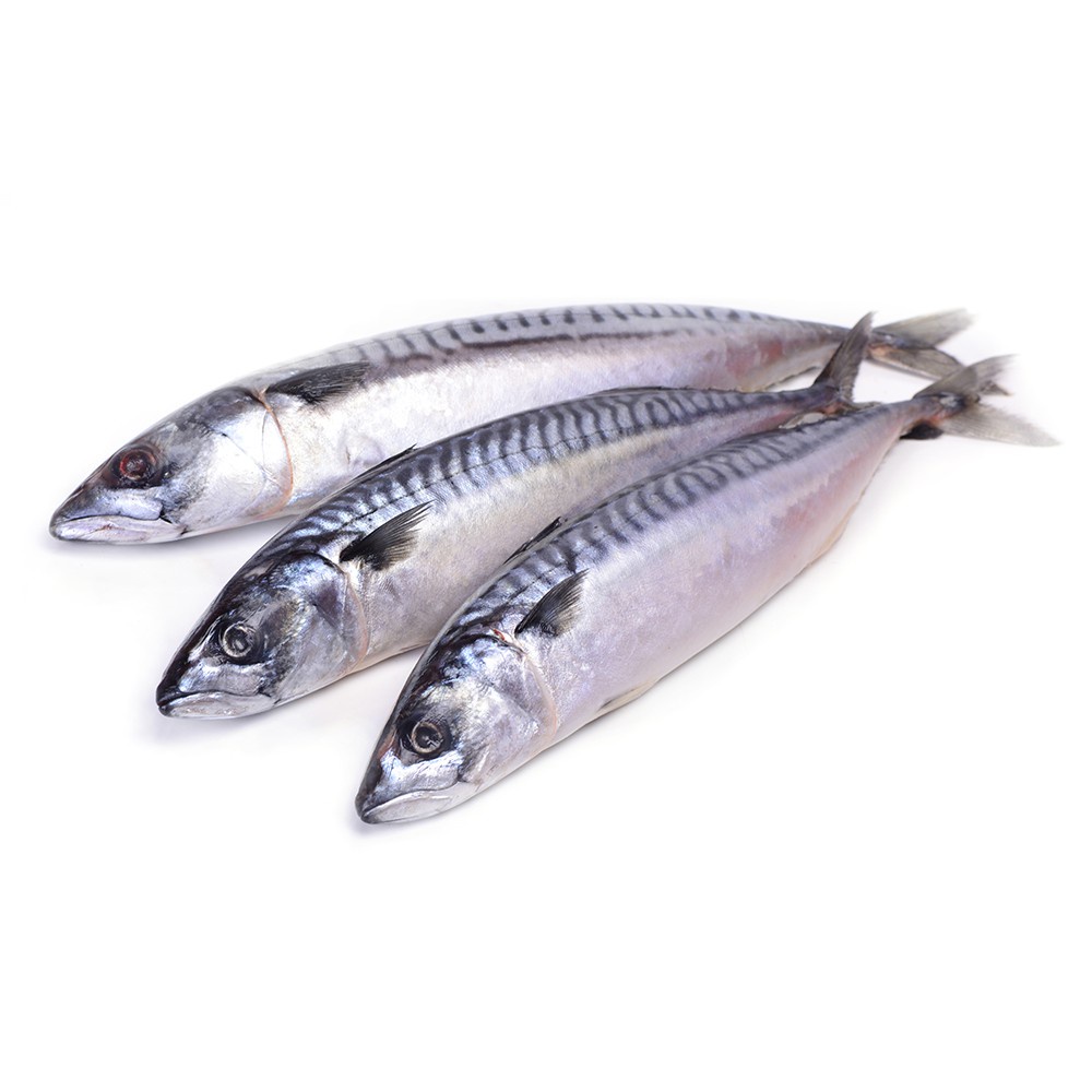 Sardine Fish / Ikan Sadin Segar 1kg | Shopee Malaysia