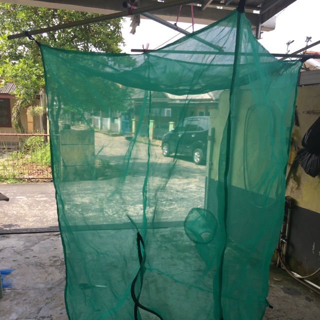 HITAM Bsf Net Cage 1m x 1m x 1.85m black fly Army bsf maggot black ...