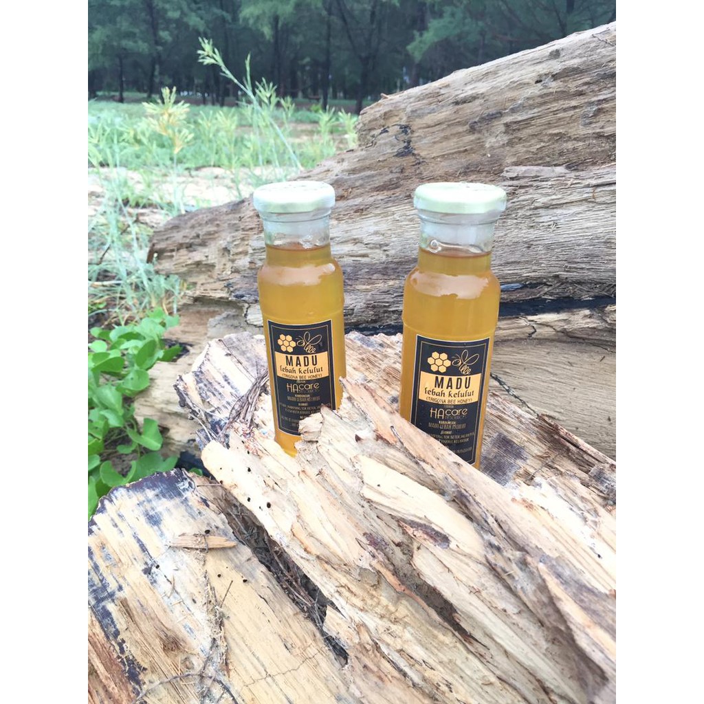 Madu Lebah Kelulut Original 🔥 [100% ASLI] Madu Lebah Asli ] | Shopee ...