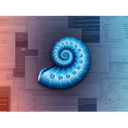 DEVONthink Pro 2022 | The Elite Document Manager Software🔥 | Shopee ...