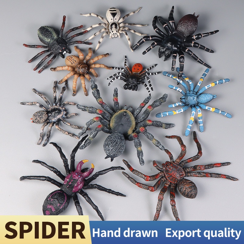 Insect Toys Zoo for Kids Spider Action Figure Insect Animal World ...