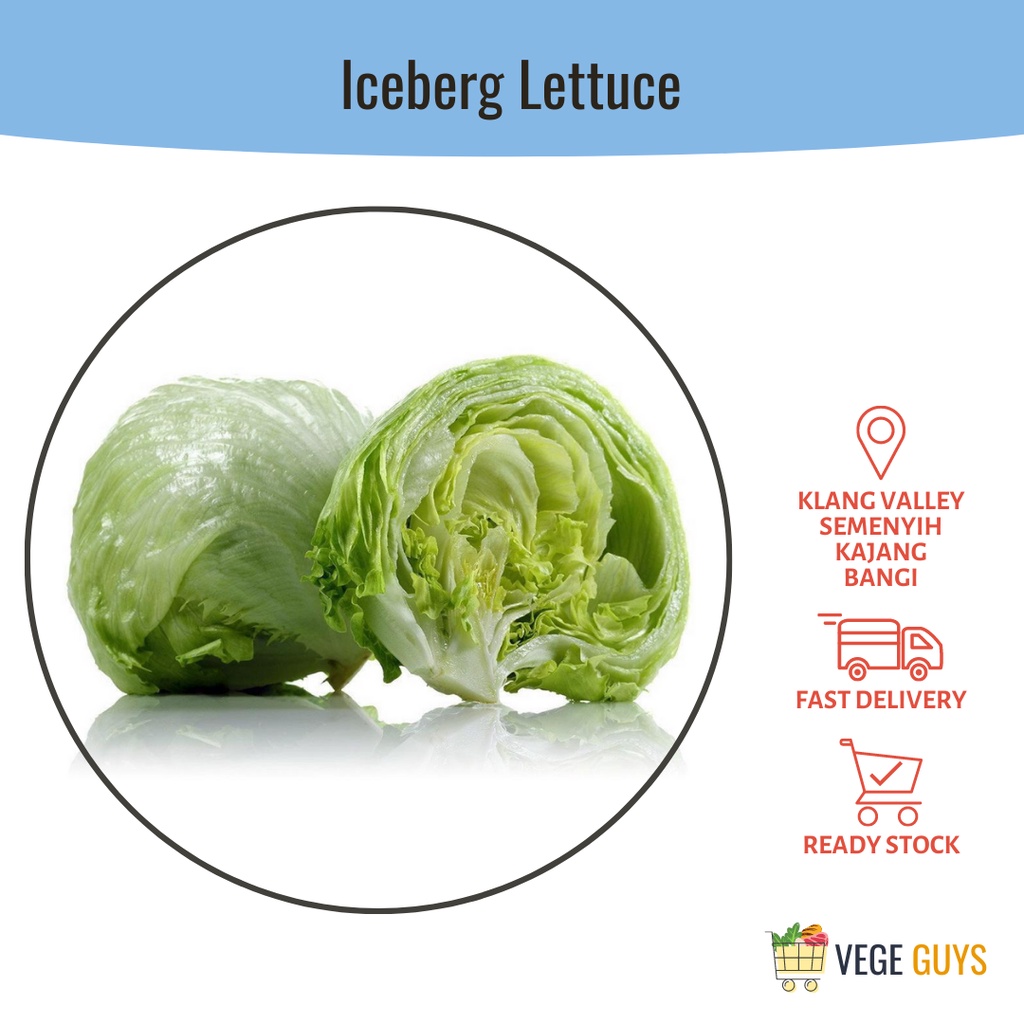 fresh lettuce - Prices and Promotions - Jun 2026 | Shopee Malaysia
