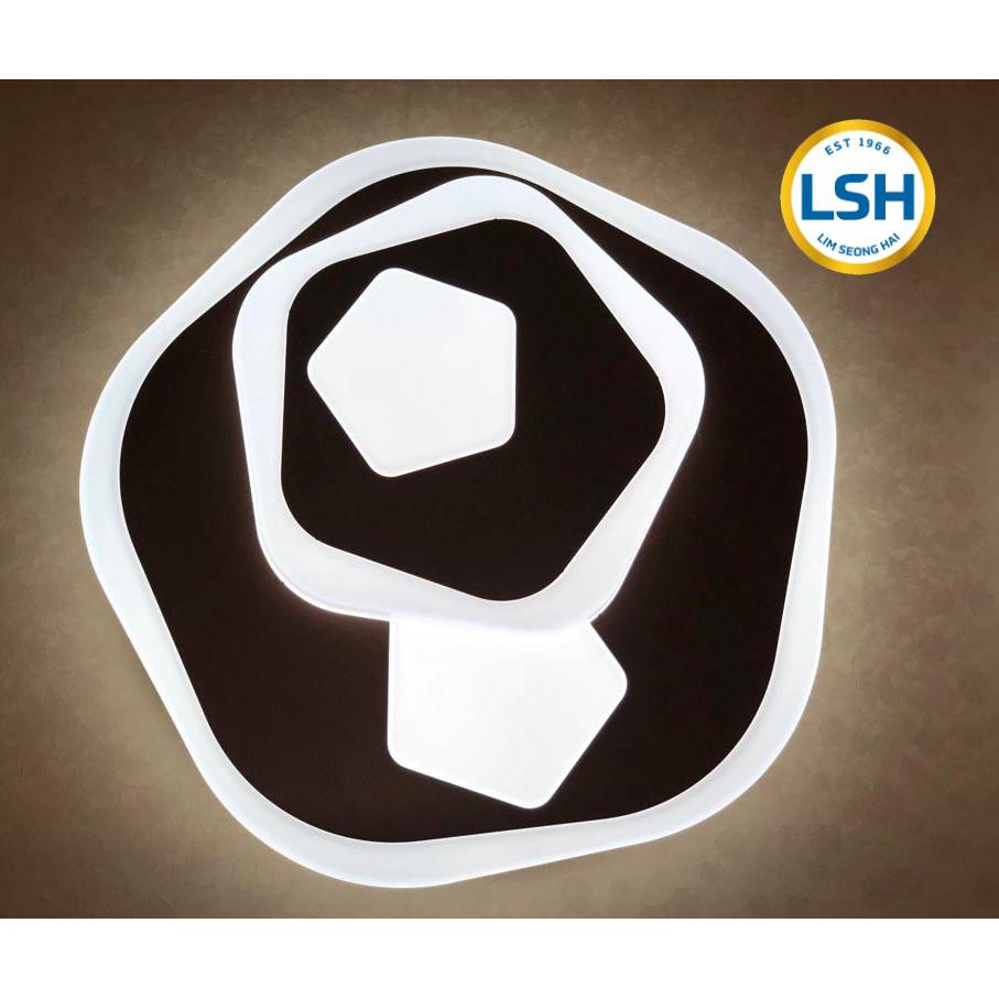 Lim Seong Hai Lighting Simple Decorative LED Flush Mount Ceiling Light ...
