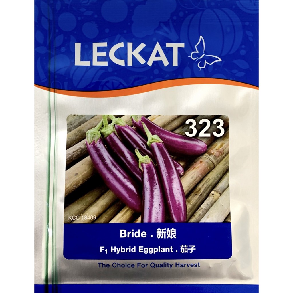 Benih Terung Mini Bride 323 F1 Hybrid EggPlant Leckat - ( 10g ) 👍 💯 ...