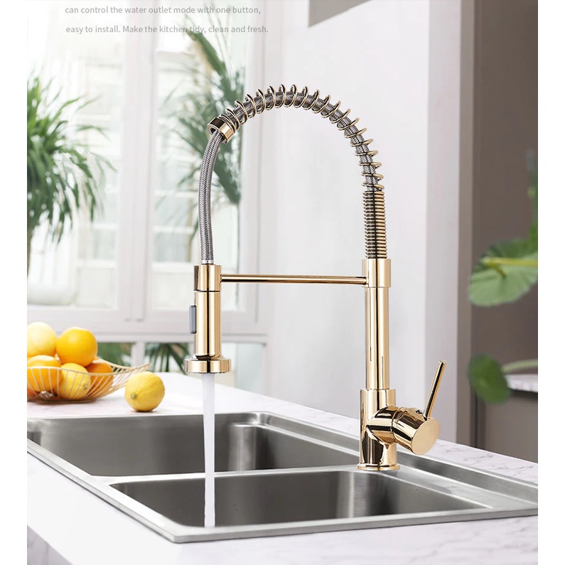 Wall Mount Gold Kitchen Faucet Pull Down Sprayer Dual Spout Cold Water ...