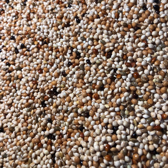 Bird Food Mix Grain 1kg | Shopee Malaysia