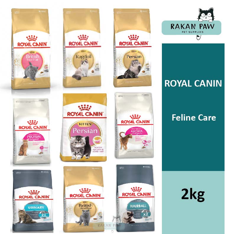 Royal Canin Cat Dry Food 2kg - Kitten/Indoor//BSH/Persian/Hair&Skin ...