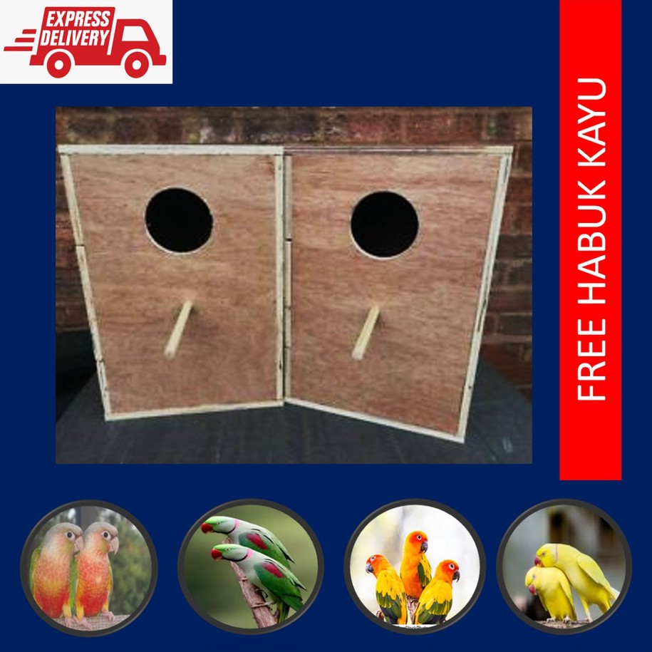 🔥FREE HABUK KAYU🔥 NEST BOX BREEDING SUN CONURE INDIAN RINGNECK GREEN ...