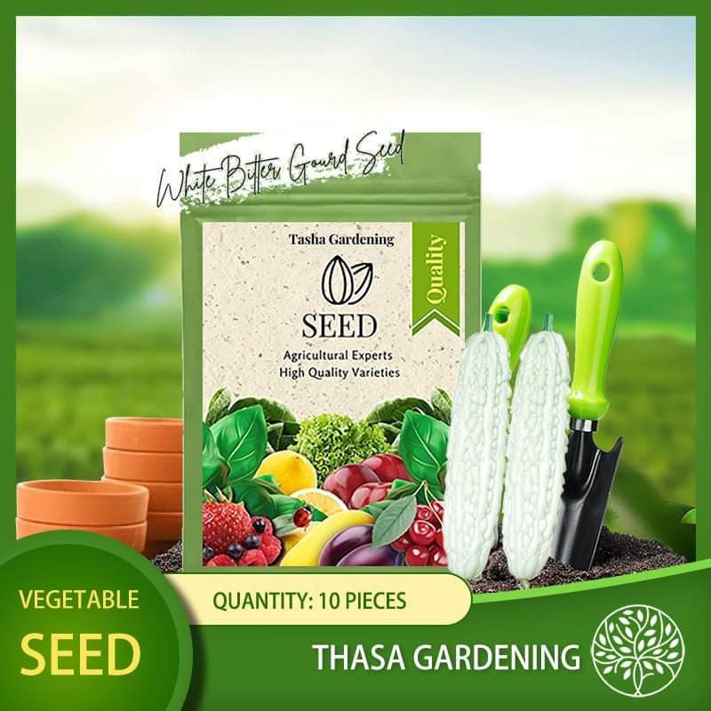 TASHA GARDENING 10pcs Bitter Gourd Peria Putih Biji Benih Sayur Sayuran ...