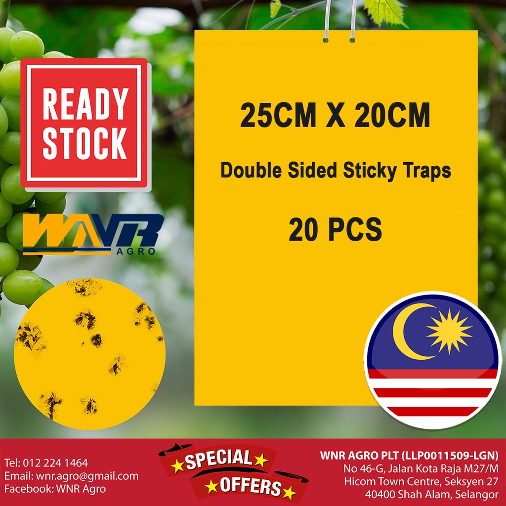 [READY STOCK] Yellow Sticky Traps Double Sided Sticker Insect Bug Flies ...