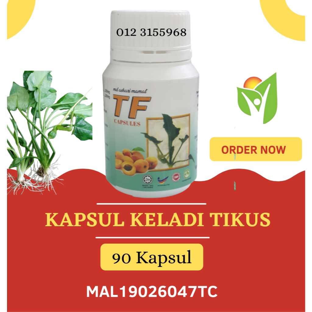 JUS PATI DURIAN BELANDA - JUS SIFU USTAZ HANAFIAH, TEH DURIAN BELANDA ...