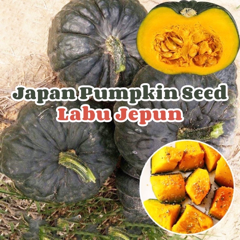 Japan Pumpkin Seed Benih Labu Jepun 10 Pcs Gardening Tanaman Sayur ...