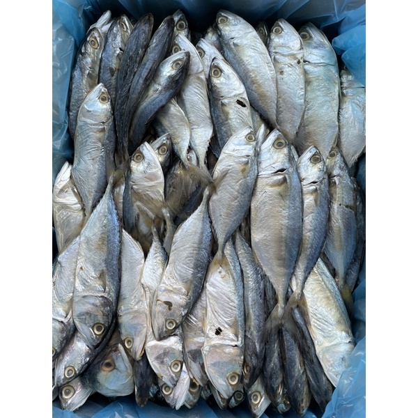 MUSLIM PRODUCT ‼️ Ikan masin Kembung/temenung | bersih & berkualiti ...