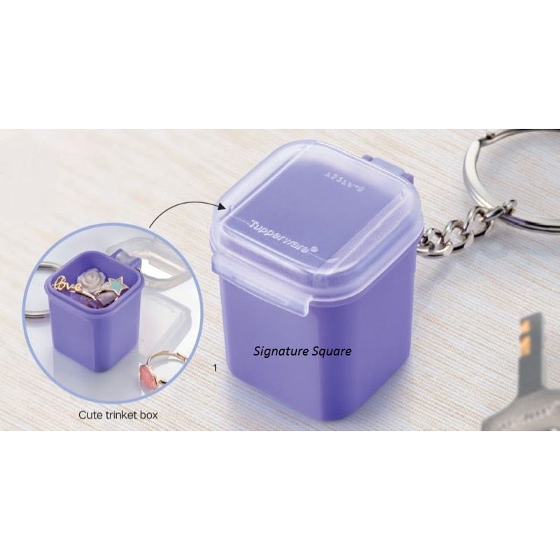 [[Ready Stock]] TUPPERWARE Keychain Limited Edition | Shopee Malaysia