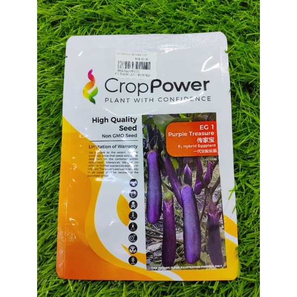 Crop Power EG1 purple treasure 传家宝f1 hybrid eggplant 10g | Shopee Malaysia