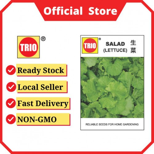 [Lettuce Seed] Trio Lettuce/Benih Salad/生菜种子 | Reliable Seed For Home ...