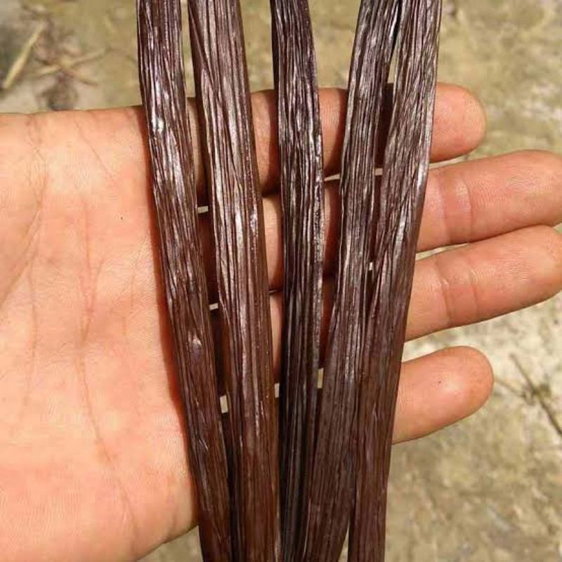 Vanilla Vanilla Dry Panili | Shopee Malaysia