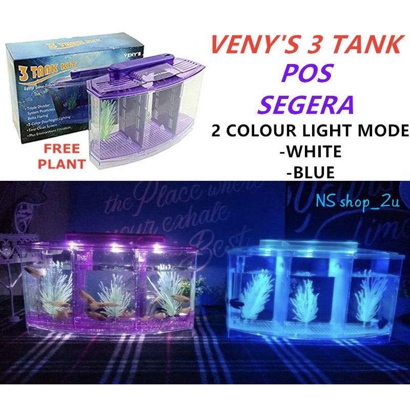 HOT ITEM VENY'S TRIPLE TANK BETTA FISH AQUARIUM AKUARIUM IKAN BETTA 3 ...
