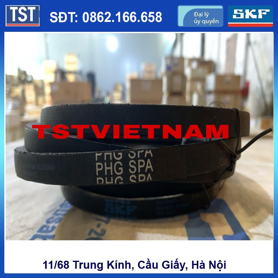 Phg SPA1250 Belt | Shopee Malaysia