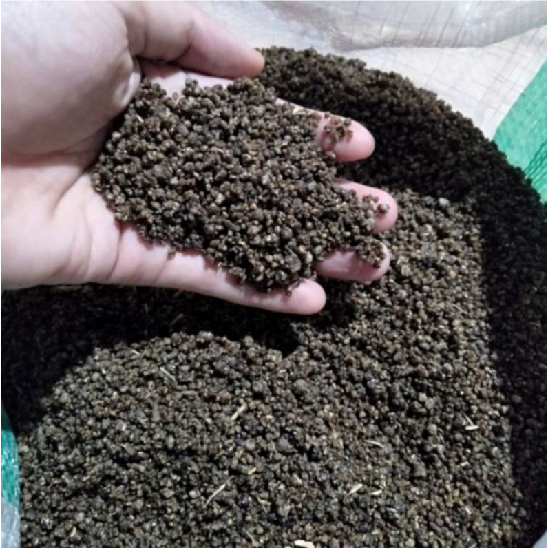 Ready Nasi Tiwol/tiwul ubi kayu 500g | Shopee Malaysia