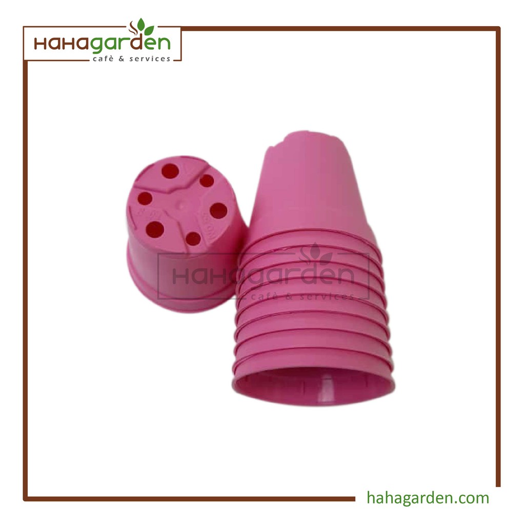 Baba 55 Seedling Pot (1 X 10) - Pink | Shopee Malaysia