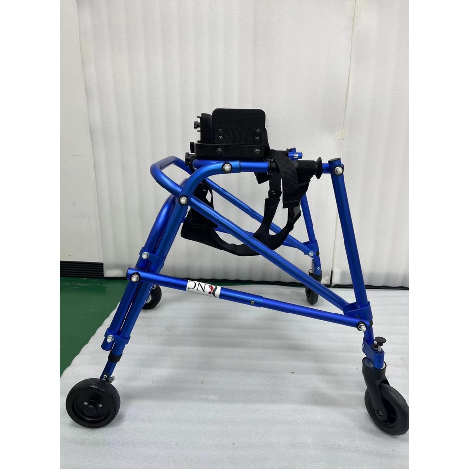Posture Control Reverse Walker (Posterior Walker with front swivel ...