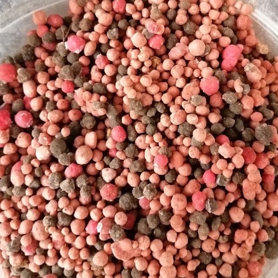 Baja BUNGA / Baja BUAH / Baja POKOK 1kg (sila baca keterangan produk ...