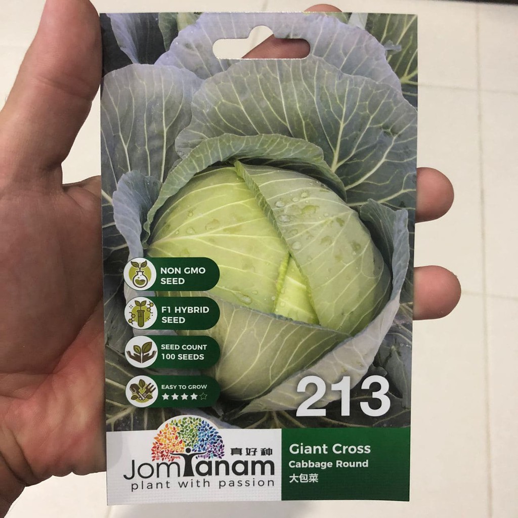 Benih Kobis Bulat JomTanam 213 (100 biji) | Shopee Malaysia