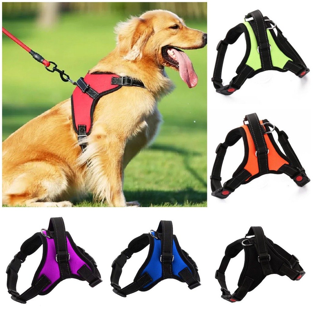 Prevent Pulling And Suffocation With Anti-pull Dog Harness Perfect For ...