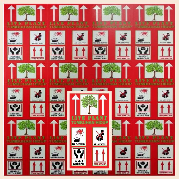 🔥 [BUY 10 + 1 ] STICKER FRAGILE POKOK HIDUP / LIVE PLANTS LOGISTICS ...