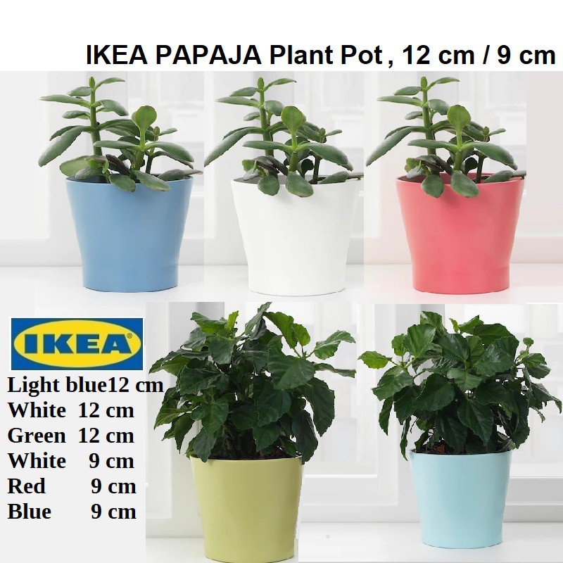 (Ready Stocks) IKEA PAPAJA Ceramic Plant Pot-Pasu Bunga-Pasu Seramik-花盆 ...