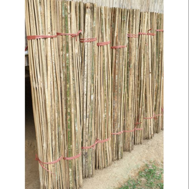25 BATANG BULUH PANCANG (panjang 4 kaki) - BAMBOO PLANTS STAKES ...
