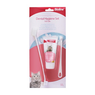 Bioline Cat Dental Care Set Cheese flavour Toothpaste Kit Toothpaste ...