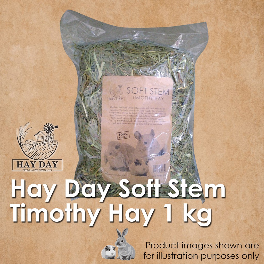 Hay Day Soft Stem Timothy Hay (1 kg) for Rabbits and Small Animals ...