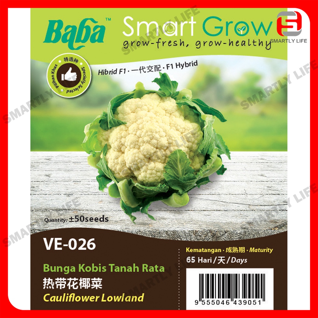 Baba Smart Grow Seed: VE-026 F1 Cauliflower Lowland 热带花椰菜 Bunga Kobis ...