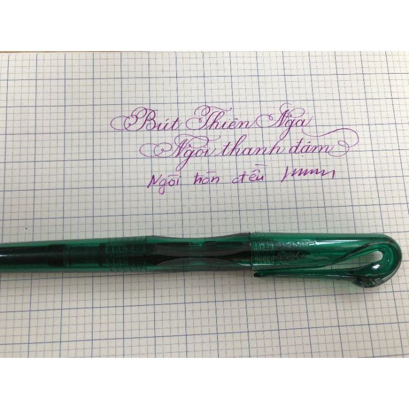 Swan Pen (smooth nib) | Shopee Malaysia