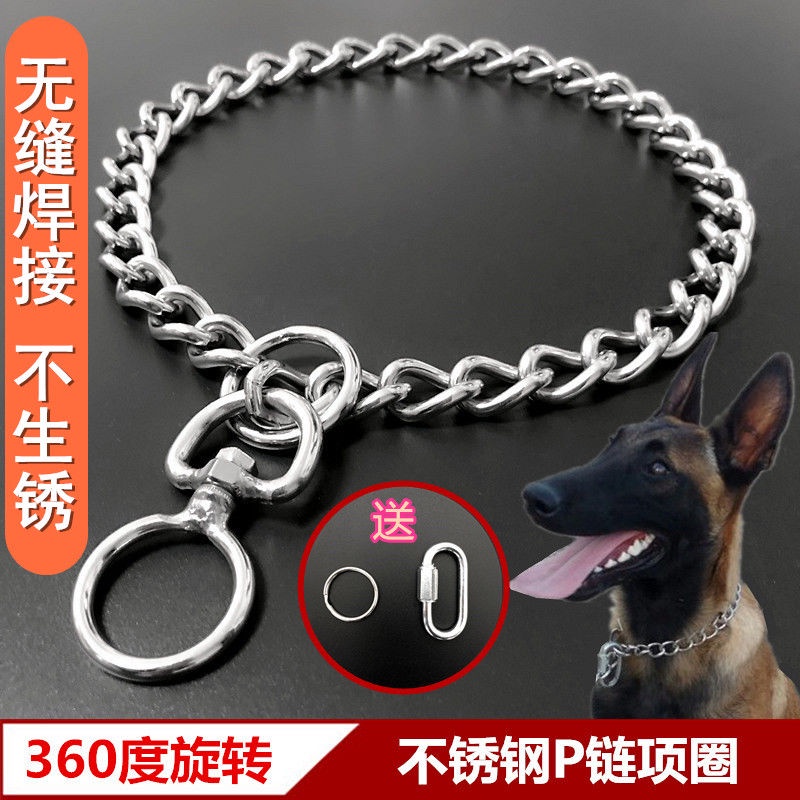 Stainless steel p chain dog traction rope collar horse dog golden hair ...