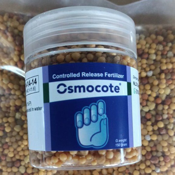 [READY STOCK] Osmocote 13-13-13 HIGH QUALITY SLOW RELEASE INOR ...