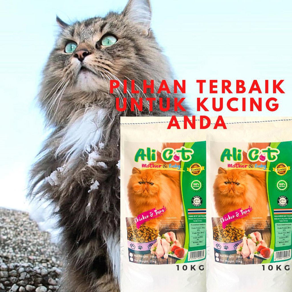 reflex cat food makanan kucing ♔Makanan kucing murah 10kg Ali cat ...