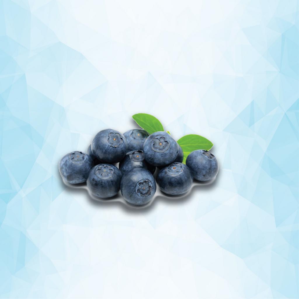 Blueberries 125g (For Klang Valley Only) | Shopee Malaysia