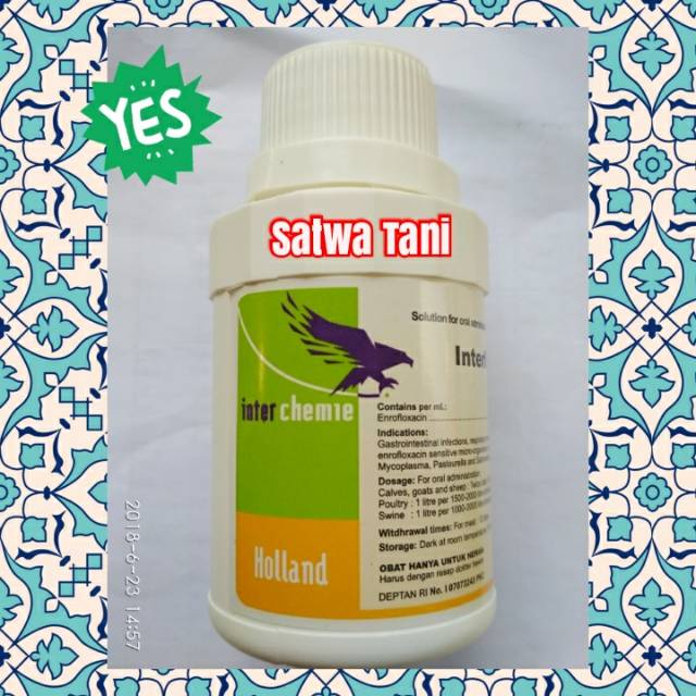 Interflox oral 100ml (Effective Respiratory And Digestive Medicine ...