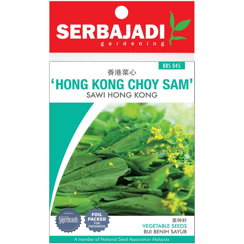SERBAJADI HONG KONG CHOY SAM (BBS045) Benih Sawi Hong Kong / Vegetable ...