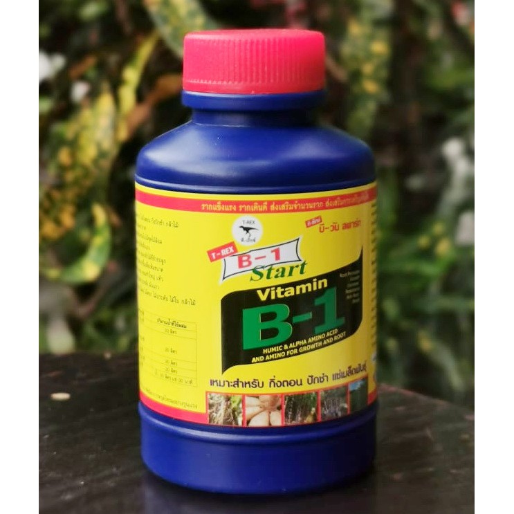 Vitamin B-1 Micronutrients T-Rex Brand (100 cc) | Shopee Malaysia